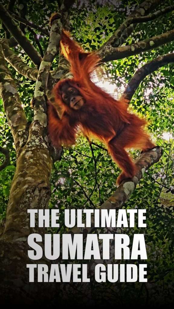 10-Day Java Itinerary: Explore the Best of Central & East Java