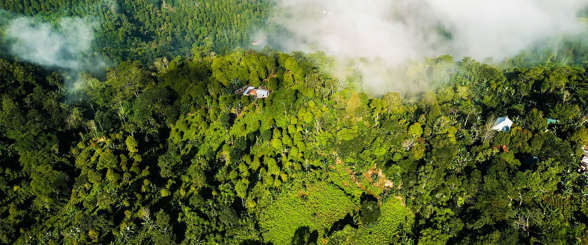 14 Best Things to Do in Bali, Indonesia: Your Ultimate Bucket List